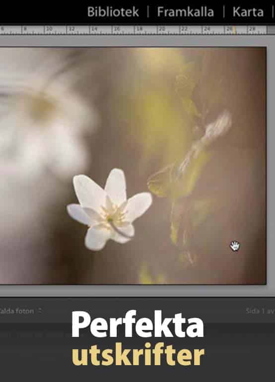 Perfekta utskrifter från din Mac | Kurs från Foto